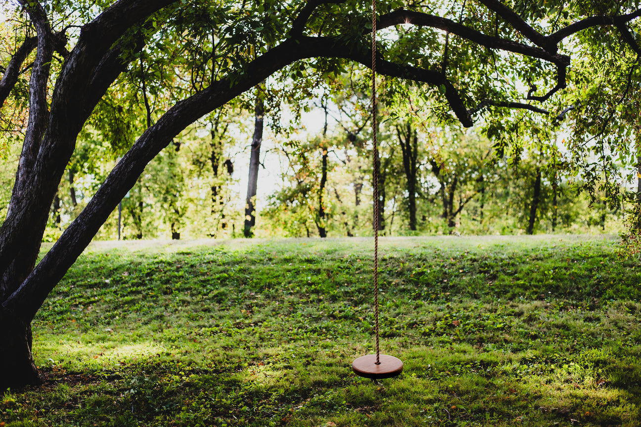 The Original Tree Swing (Disc Swing) | Rope Swing