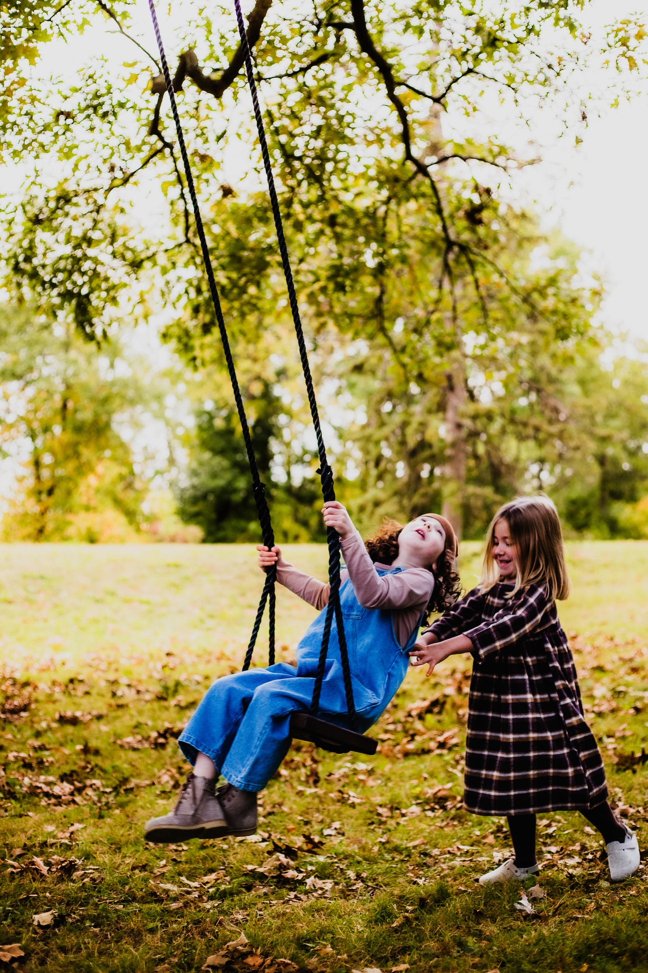 Dark Brown Stained Classic Bench Swing – The Original Tree Swing