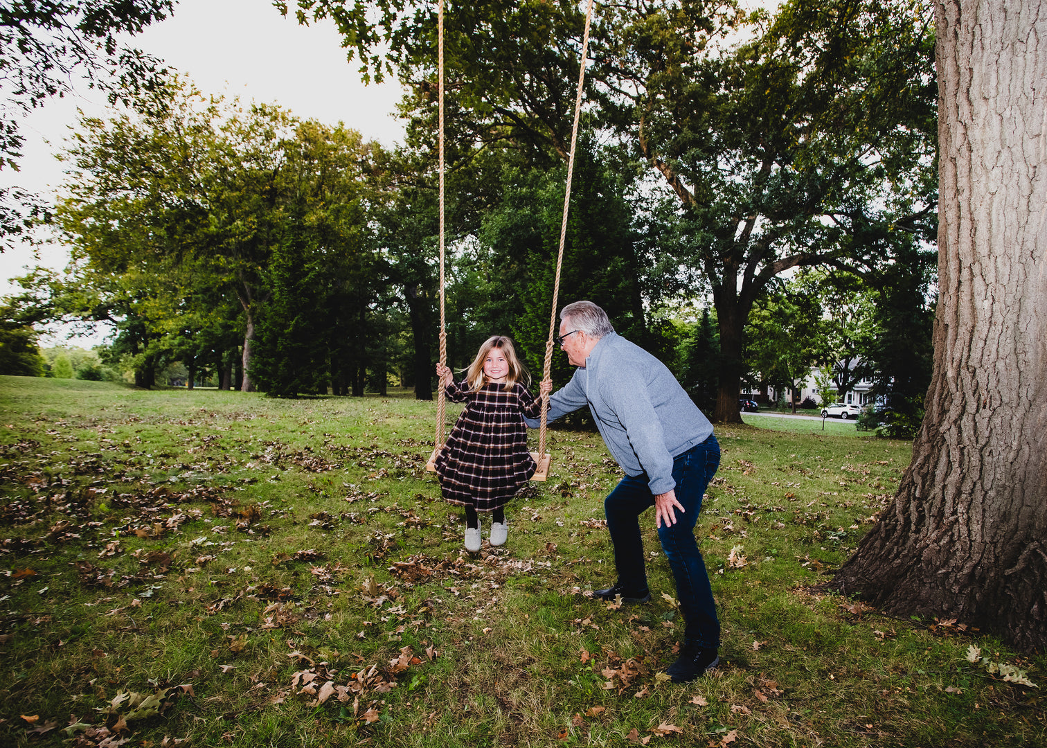 Tree Swing | The Original Tree Swing – The Original Tree Swing