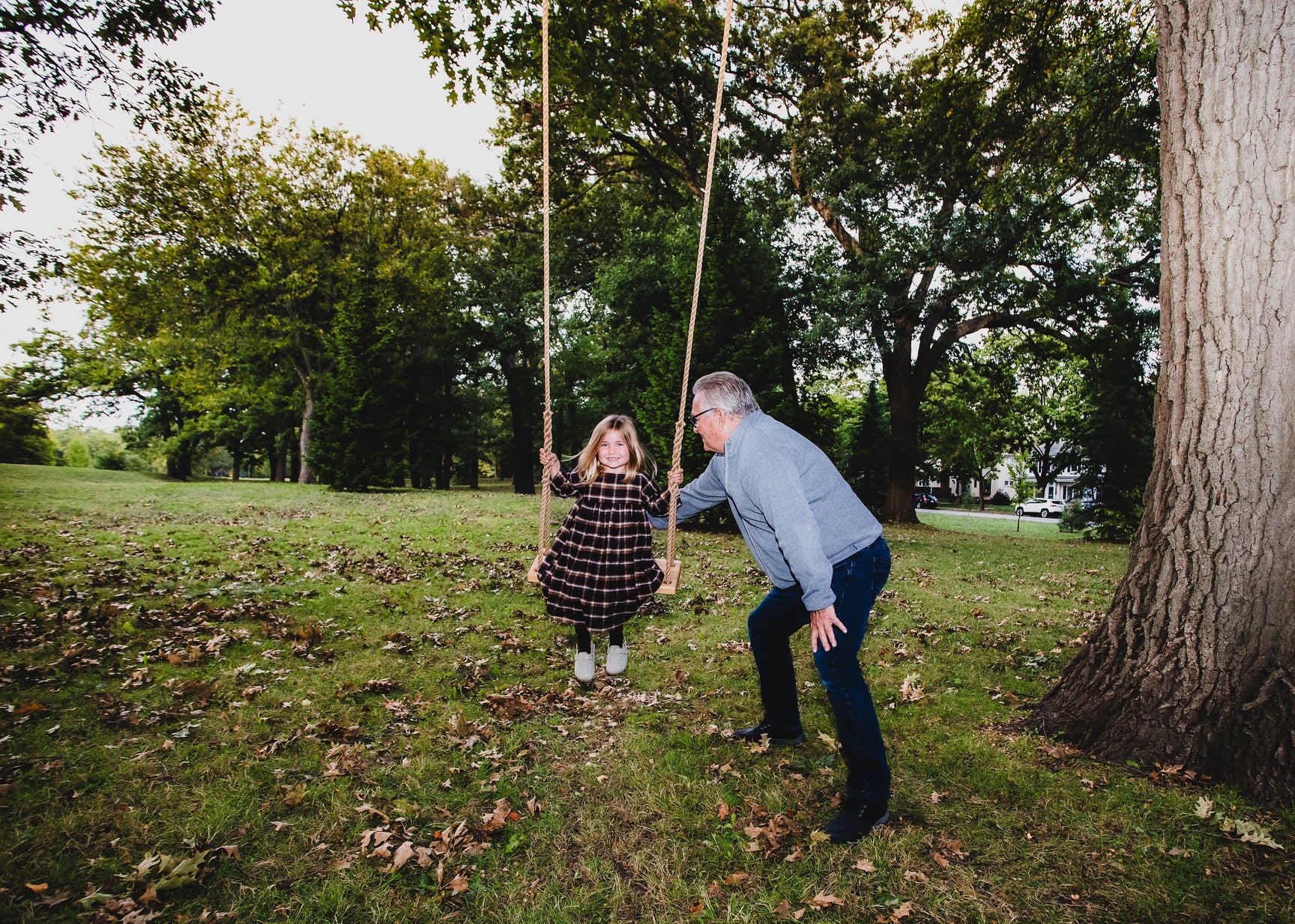 Tree Swing | The Original Tree Swing – The Original Tree Swing