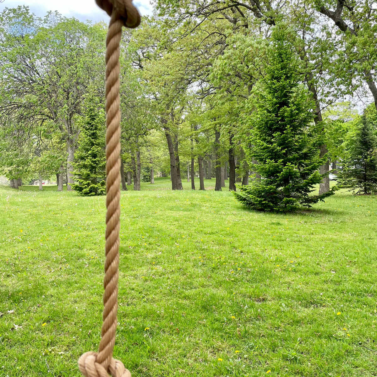 Tree Swing w/knotted climbing rope and hanging hardware – The Original ...